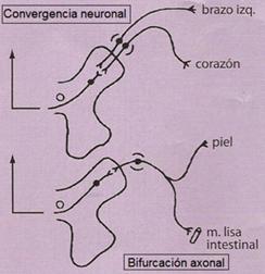 HIPERALGESIA – Manejando el Dolor